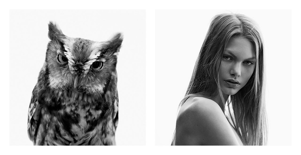 My Dream for Animals | models.com MDX