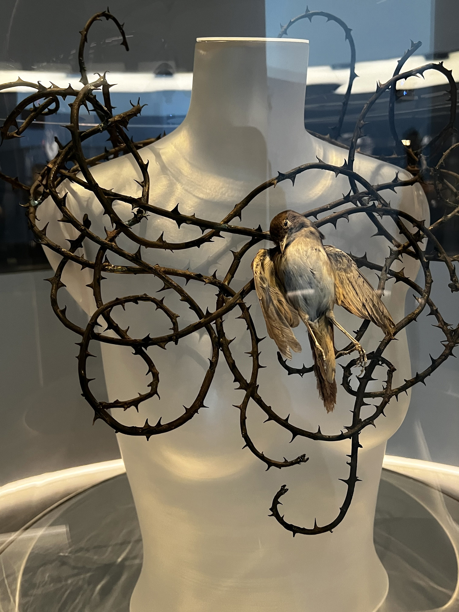 The Sleeping Beauties: Reawakening Fashion Exhibit Is A Sensory ...