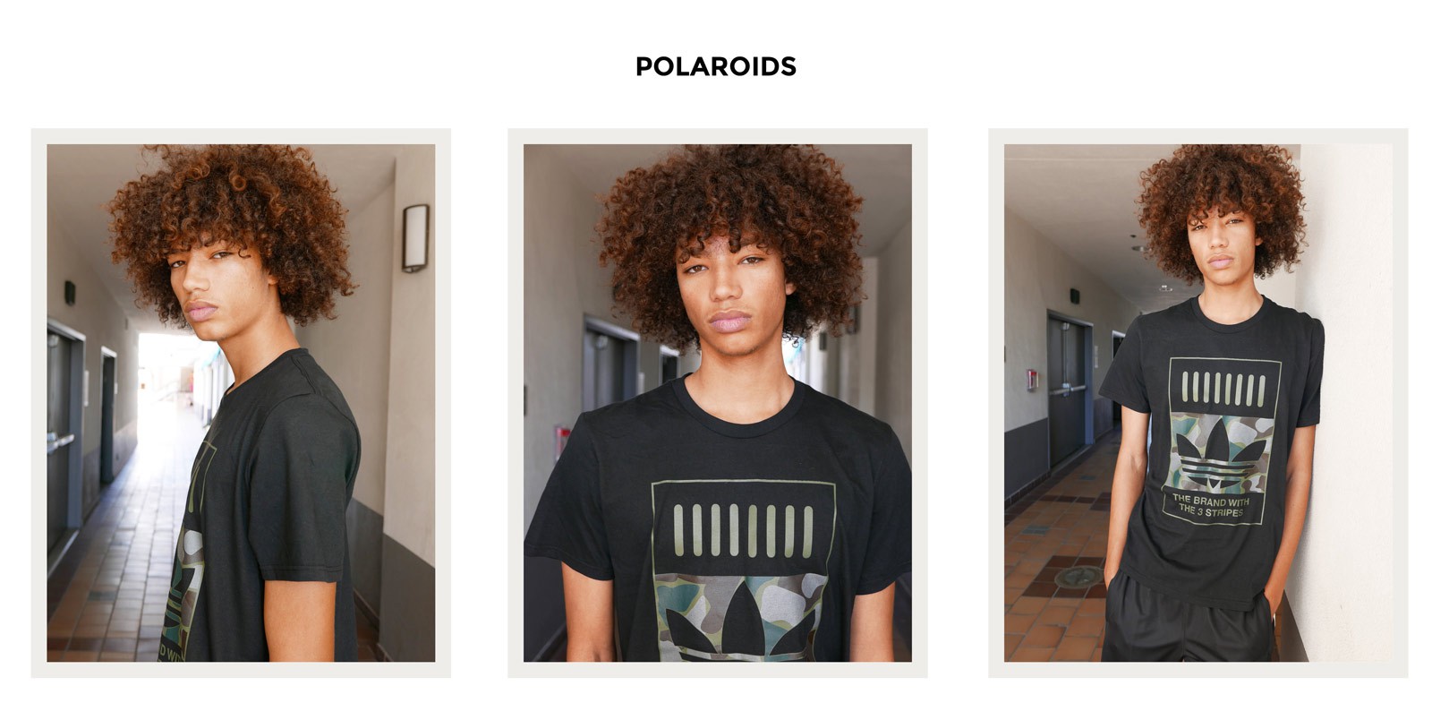 Quinn Falls – NEWfaces