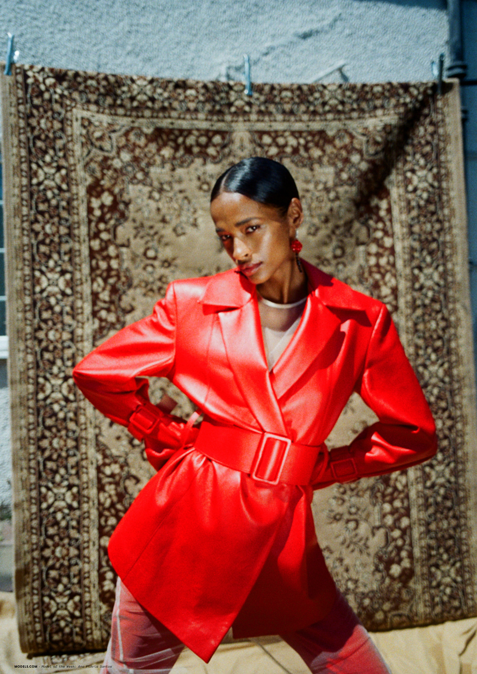 Ana Flávia Santos made model history in Brazil then walked for Dior in ...